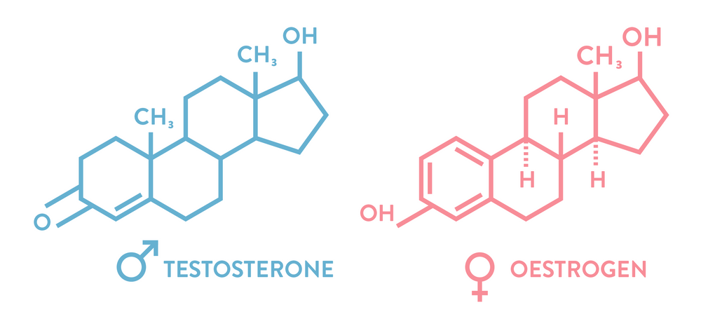 Menopause Hormones – Sally-Ann Creed